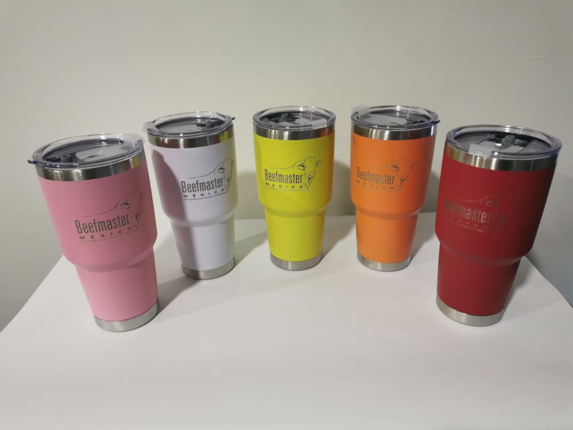 TERMOS 30 ML. DIFERENTES COLORES – Beefmaster